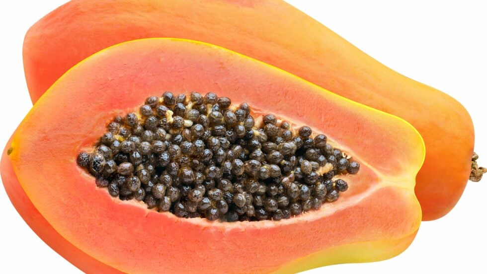 Cunnilingus: Oral Sex for Women - Get Your Marriage On!